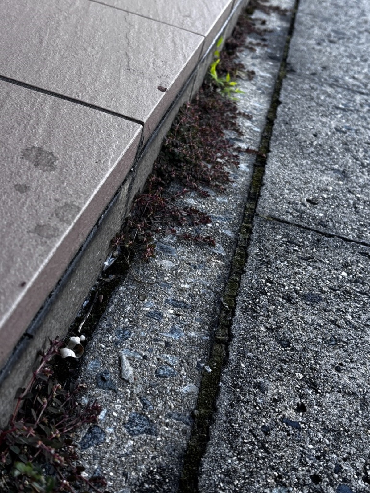 貯まったものを有効活用しますよ！！湿気取りで貯まった、水です！！: 大好きな 明石市大久保駅前 周辺のちょっとした情報